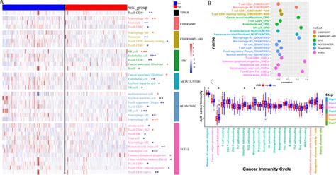 Analysis Of Tumor Immune Microenvironment A Estimation Of Download