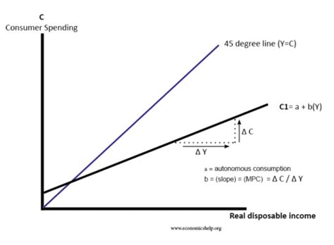 consumption function definition economics help