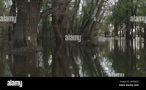 Overflow River Stock Videos And Footage Hd And 4k Video Clips Alamy