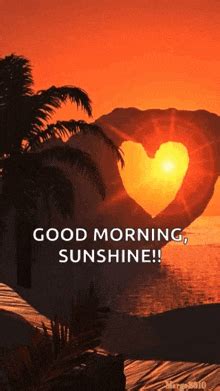 Good Morning Sunshine  Tumblr