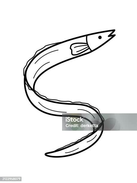 뱀장어 낙서 아이콘입니다 벡터 일러스트 레이 션 물고기 의 강과 해양 생물 흰색에 고립 된 진미 해산물 강에 대한 스톡 벡터 아트 및 기타 이미지 Istock