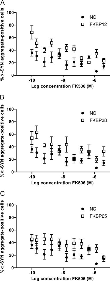 Effect Of Fk506 On ␣ Syn Aggregation In Different Fkbp Overexpression