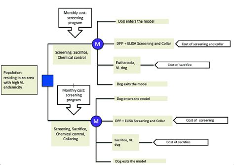 Structure Of The Markov Model For The Decision And Cost Effectiveness Download Scientific