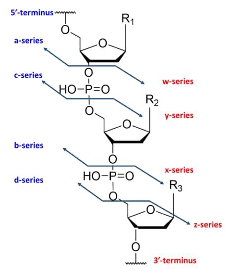 Intro To Maldi Oligonucleotide Analysis