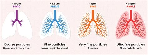 What Is Particulate Matter Pm Clean Air Breathe Easy™