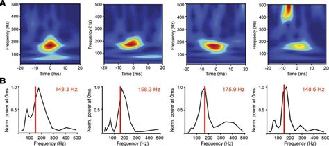 Wavelet Transformations Reveal The Frequency Of The Underlying Download Scientific Diagram