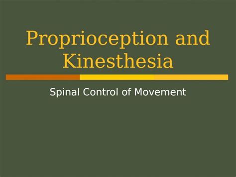 PPT Sensory Systems And CPG S Lecture 5 Motor Control Notes On Web DOKUMEN TIPS