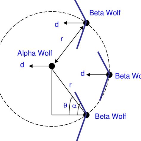 Alpha Wolf Hunting Behavior Consists Of Four States Wander Stalk