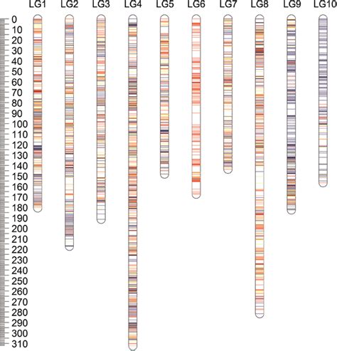 High Density Consensus Linkage Map For Crassostreagigas For Each