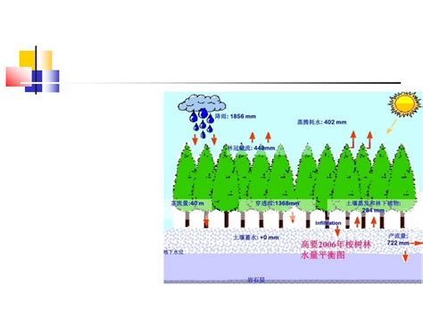 教育领域，综合文档，使用文档资源 Csdn文库