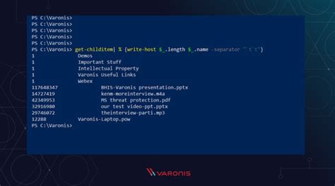 powershell for pentesters scripts examples and tips