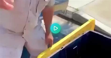 Beautiful Rainbow Python Album On Imgur