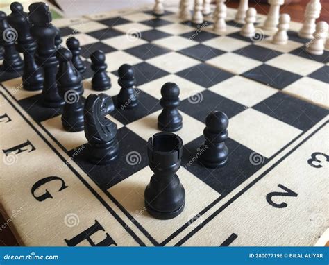 Chess Board Stock Photo Image Of Chess Brain Playing