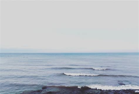 무료 이미지 바다 연안 대양 수평선 육지 웨이브 북극해 해양 포유류 바람 파도 3387x2304 33886 무료 이미지 Pxhere