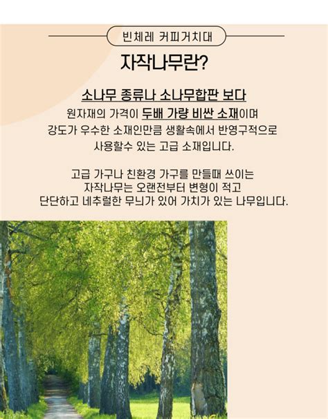 캡슐보관함·커피용품 빈체레 커피캡슐 거치대 오늘의집 쇼핑