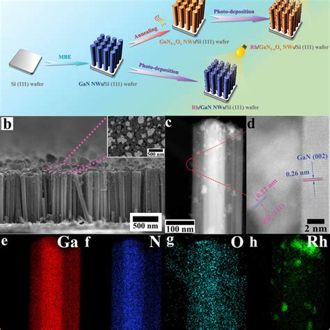 Assembly Process And Microstructure Of Catalysts A Schematic Diagram