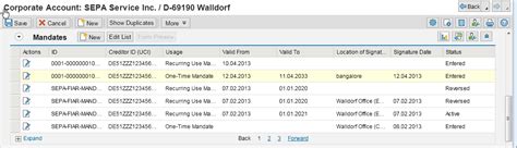 Sepa Configurationset Up Guide Sap Community