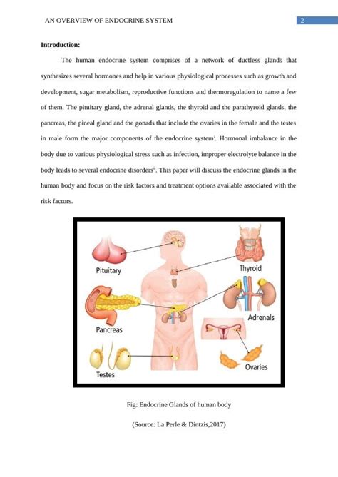 An Overview Of Endocrine System Pituitary Thyroid Adrenal Pancreas Ovaries Testes