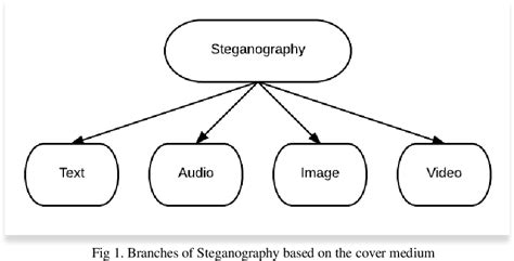 Figure 1 From Information Hiding Techniques In Image Steganography
