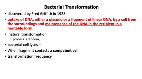 Bacterial Transformation Pdf