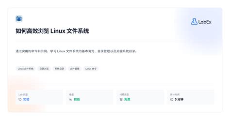 如何高效浏览 linux 文件系统 labex