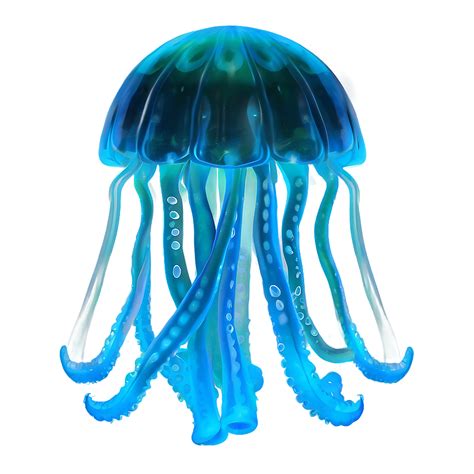 Moon Jelly Png Images 100