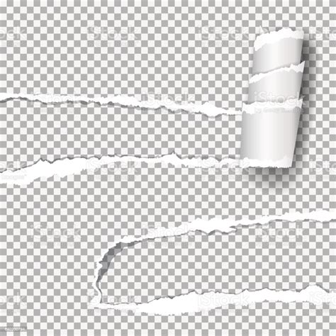 찢어진 종이와 현실적인 벡터 텍스트에 대 한 공간을 가진 가장자리를 찢 어 0명에 대한 스톡 벡터 아트 및 기타 이미지 0명 가장자리 개념 Istock