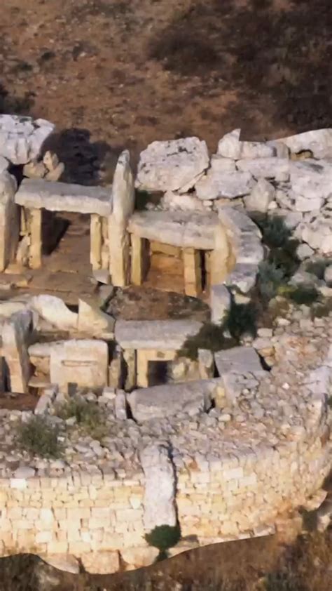 Rare Evidence Of Humanreptile Hybrid Dna Researchers Have Discovered