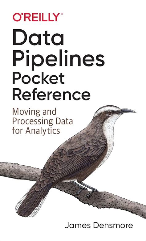 Data Pipelines Pocket Reference Ifkarsyah