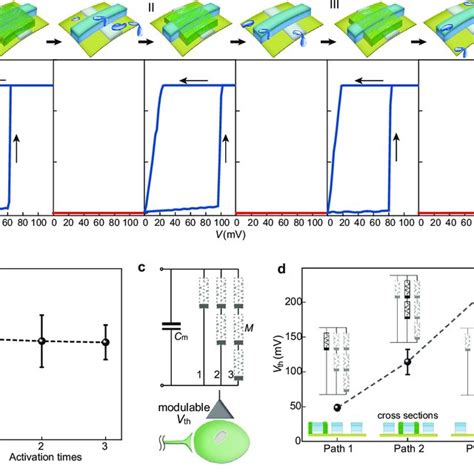 Reconfigurable Neuromorphic Interface A Top Schematics Of Three