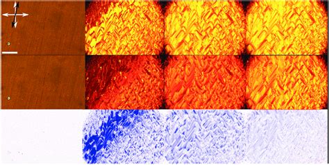 Colour Online Changes In Compound B Upon Illumination With UV Light Download Scientific