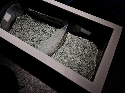 Planting In Rectangular Pots Begins With The Placement Of Growing Stock