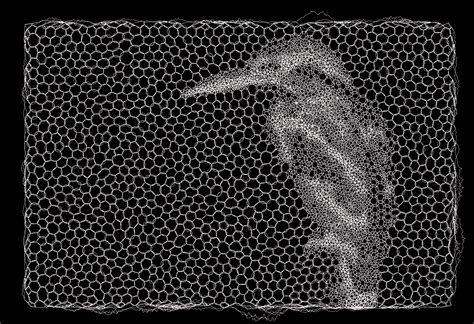 Please Help Me Make The Voronoi Cell Structure Grasshopper Mcneel Forum