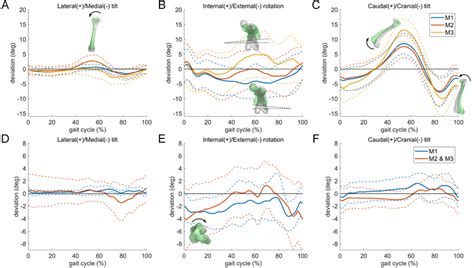 Orientation Deviations Determined By Skin Markers With Respect To The Download Scientific