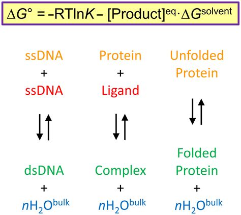 Febs Open Bio Vol 14 No 11