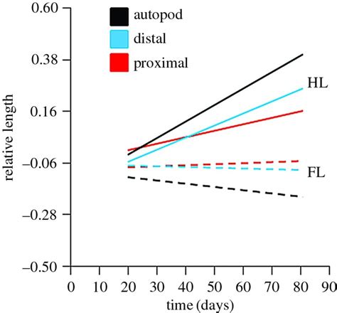 a regression analysis of the relative length of limb elements