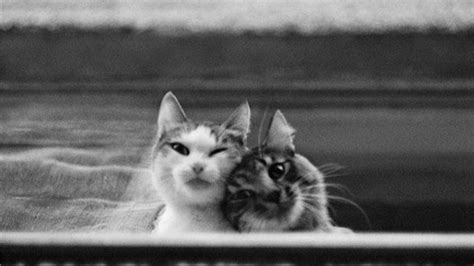 Learning Sql A Journey Of Growth Vishal Sahu Posted On The Topic Linkedin