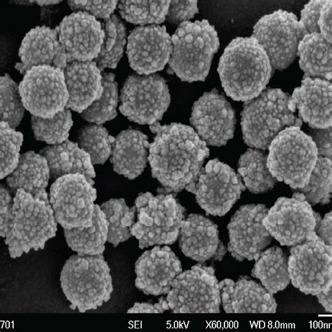 SEM images of (a) SiO2, (b) SiO2@TiO2 core-shell particles, and (c, d)... | Download Scientific ...