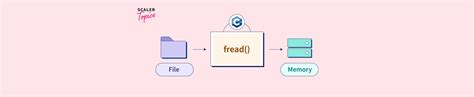 Fread Function In C Scaler Topics