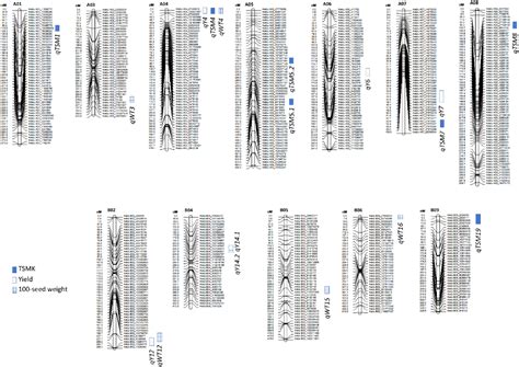 Figure 1 From Mapping Of Quantitative Trait Loci For Yield And Grade Related Traits In Peanut