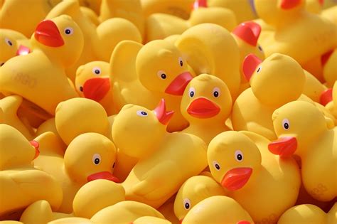 your first programming language greatly influences how you think about