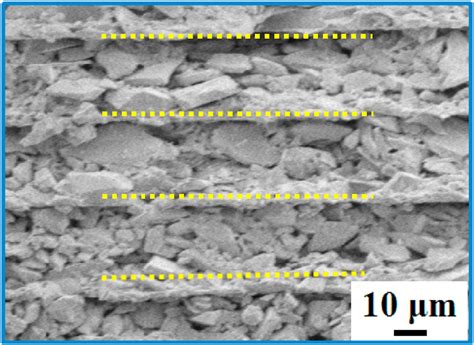 Cross Section Microstructure Of The Sic Green Body Download