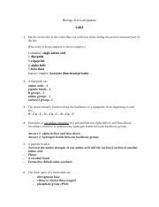 Bio Lab Study Guide 1 Docx Biology 2112 Lab Quizzes Lab 4 1 Put The Molecules In The Order