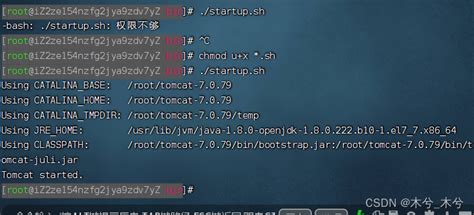 bash startup sh permission denied解决 bash permission denied csdn博客