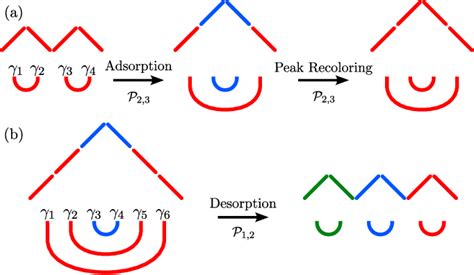 Figure 2 From Power Law Entanglement And Hilbert Space Fragmentation In Non Reciprocal Quantum