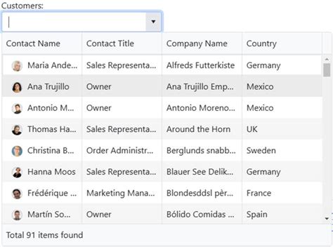 Fluent Theme Magic In Telerik Ui For Asp Net Core