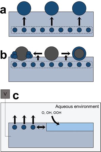 Three Categories Of Operando Evolution In A Metal And Oxide System Download Scientific Diagram
