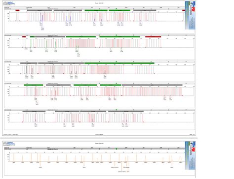 Examine Each Electropherogram For Artifacts And