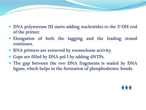 Replication In Prokaryotes Pptx