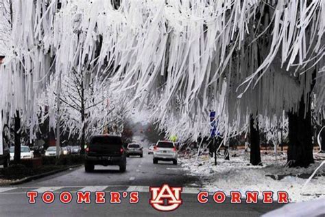 Auburn Tree Poisoner